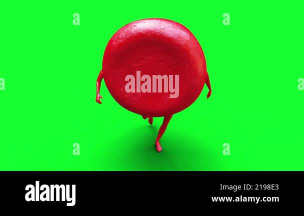 red blood cell character. Realistic 4k green screen animation Stock ...