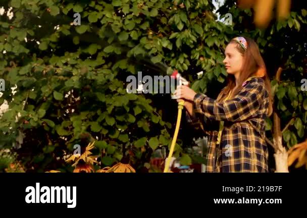 Watering the tree. Water injection through a rubber tube. Watering ...