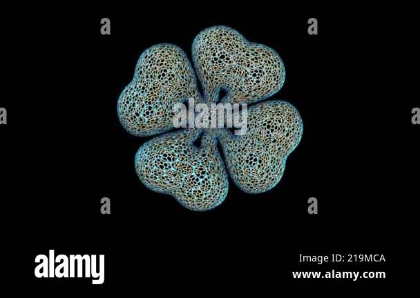 Colorful Lattice Flower Rotating Seamlessly on Transparent Background ...