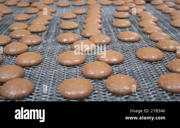 Industrial food factory or bakery, cookies on automated production line ...