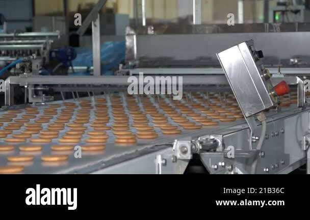 Industrial food factory or bakery, cookies on automated production line ...