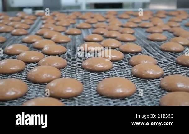 Industrial food factory or bakery, cookies on automated production line ...