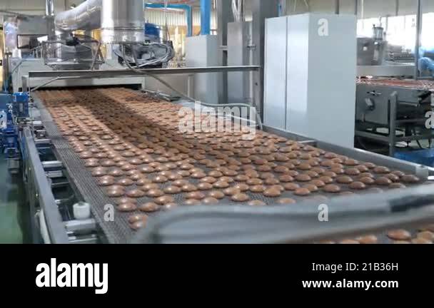 Industrial food factory or bakery, cookies on automated production line ...