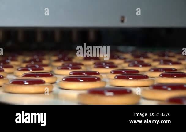 Industrial food factory or bakery, cookies on automated production line ...