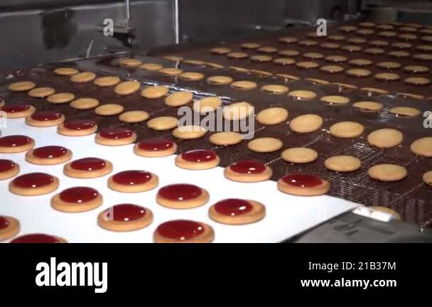 Industrial food factory or bakery, cookies on automated production line ...