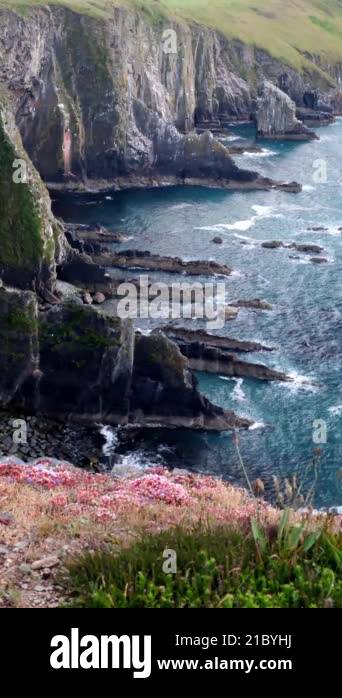 A coastal scene. High, steep cliffs descend to a body of water. There ...