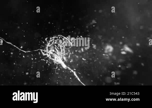 Super slow motion of gunshot through the glass, shattering against ...