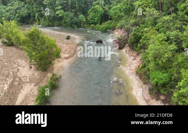 Creek with Clear Water and Small Rapids. High Quality 4K Foortage. High ...