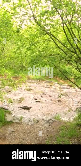 Fast flowing water stream over stones and rocks in Ourthe river, Hautes ...