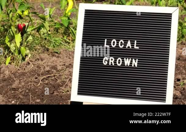 LOCAL GROWN message on background of fresh eco-friendly bio grown bell ...