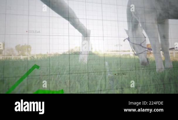 Green financial growth chart animation over person walking through ...