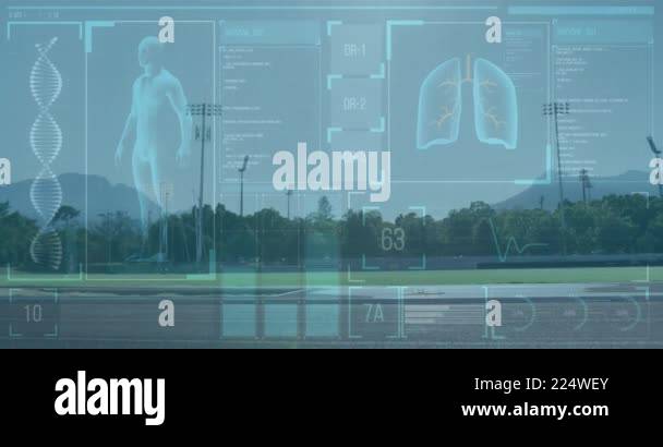 Medical data and human body analysis animation over outdoor sports ...