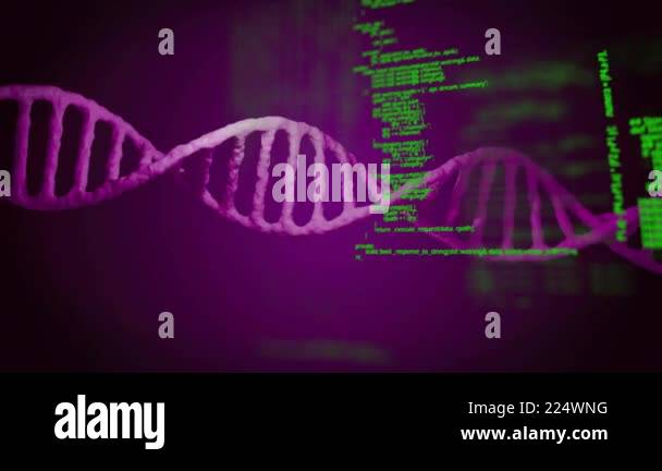 Animation of green data processing with numbers over spinning dna ...
