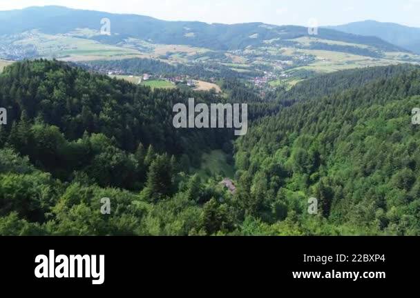 Top view of thick forest canopy Stock Video Footage - Alamy