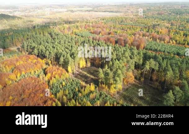 Colorful autumn forest showing stunning fall foliage from above Stock ...