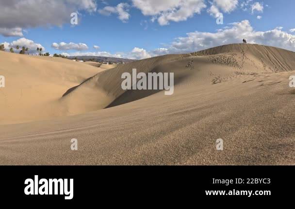 Glimpses of soft sand swirling gracefully in the wind reveal the beauty ...