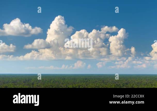 Florida weather. Blue sky with white summer rain clouds. Colorful ...