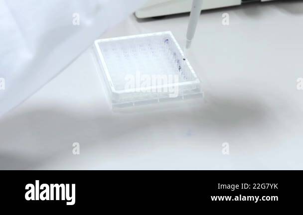 closeup Laboratory technician in white coat uses micropipette to ...