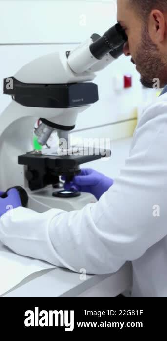 vertical Laboratory technician wearing lab coat and gloves carefully ...