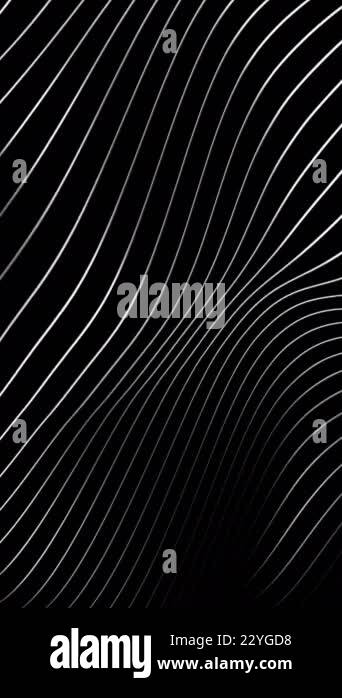 This captivating video showcases dynamic black and white visuals ...