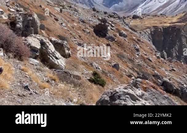 Om Parvat is a sacred peak in the Himalayas whose snow deposition ...
