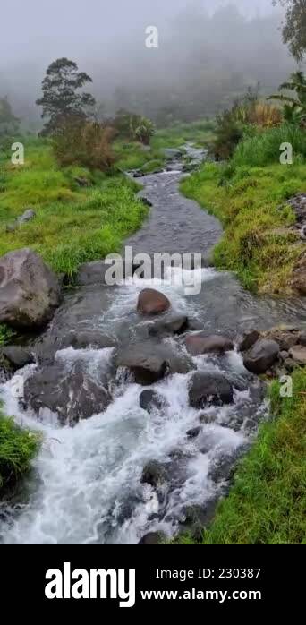 Panorama of the river upstream with rocks and surrounded by green grass ...