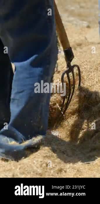 Collecting straw dust, passing yellow powder straws through the machine ...