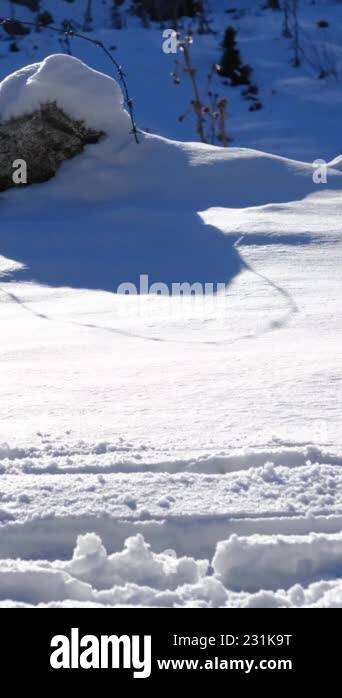 Human steps on snow, two steps at an angle only visible up to the knee, slow and paused human ...