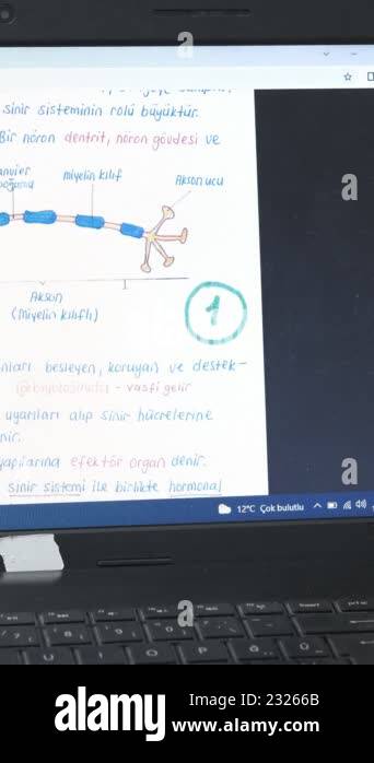 Biology Study Computer, computer screen study in pandemic, hardworking ...