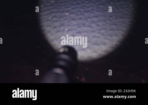 A close-up view of a flashlight beam illuminating a textured surface ...
