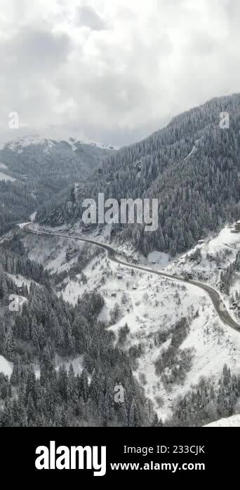 Top view of snowy forest from highway crossing in winter, snow covered ...