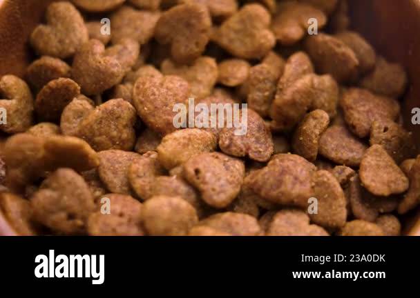 Cat crispy treats in heart shapes with brown crunchy texture falling ...