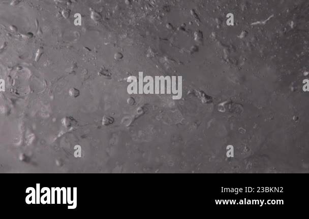 Melting ice viewed through a microscope, movement of ice and water in ...