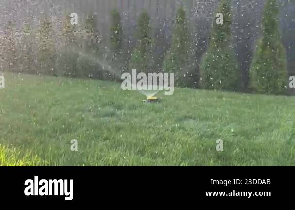 A sprinkler watering a lush green lawn with drops of water sparkling in ...