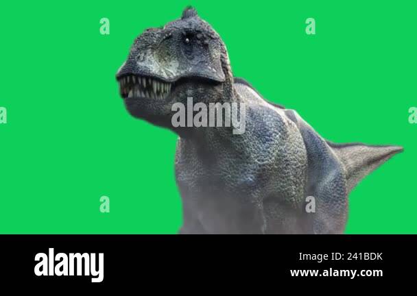 Dinosaur Green Screen Chroma Key Stock Video Footage - Alamy