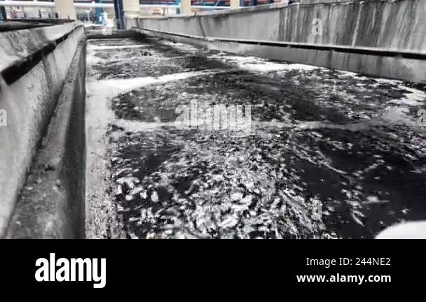 Large industrial bath for chemical treatment of metal products. Process ...