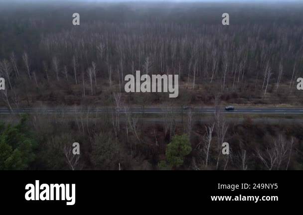 car driving on a road near a misty forest in a dark and moody ...