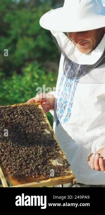 Beekeeper is working with bees and beehives on the apiary. Frames of a ...