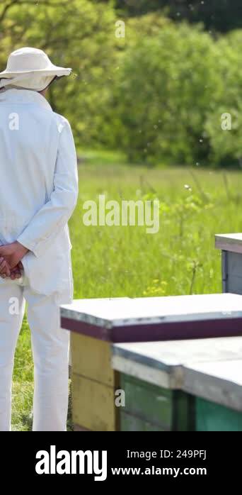 Male apiarist on a bee farm. Beekeeper in white suit standing among ...
