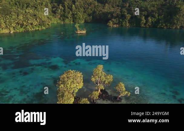 Tropical clear sea and the mangrove trees with jungle shoreline in ...