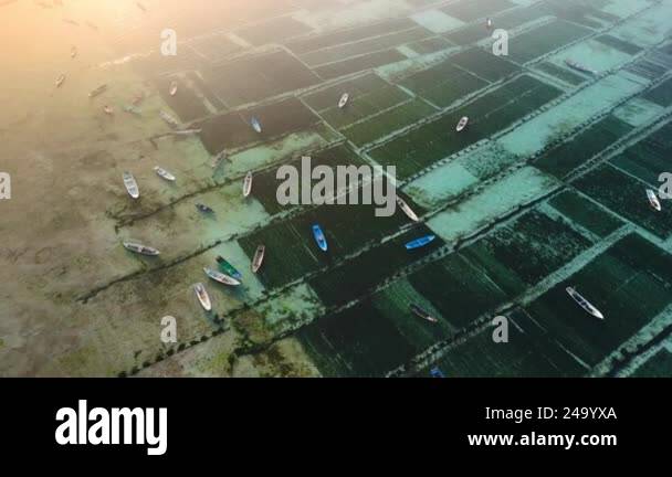 Drone view of seaweed farm in lagoon at Lembongan island in Indonesia ...