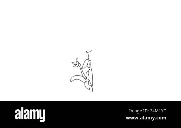Self Drawing Animation Of Single Line Draw Beauty Fresh Larkspur For