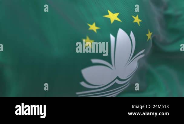 Close-up of Macau flags waving in the wind. Green area, lotus flower ...