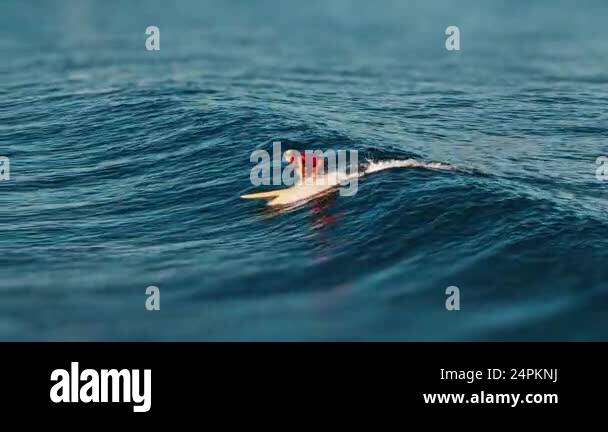 Woman surfs the wave. Aerial view of the female surfer riding the wave ...