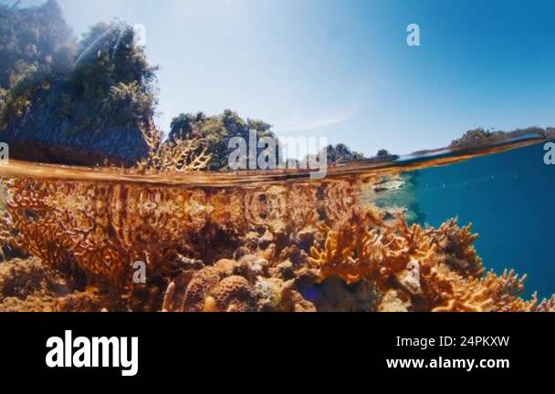 Half underwater view of a coral reef slowly getting closer with ...