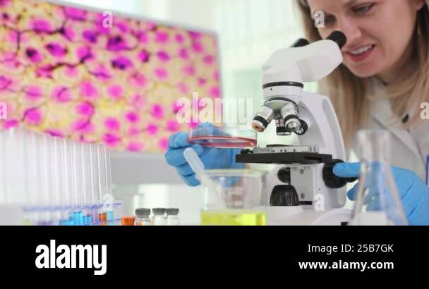 Woman scientist examines specimen under microscope in lab. Professional ...