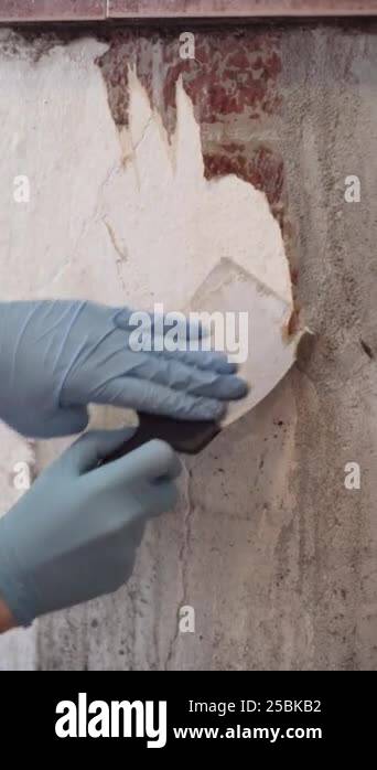 removing wallpapers close up hands contractor home renovations vertical ...