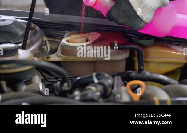 Mechanic wearing gloves pours pink coolant into car engine, ensuring ...