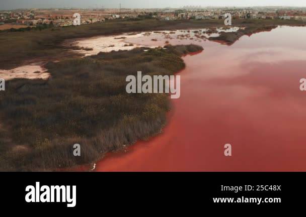 Picturesque pink Torrevieja lake with islands and city on coast bird ...