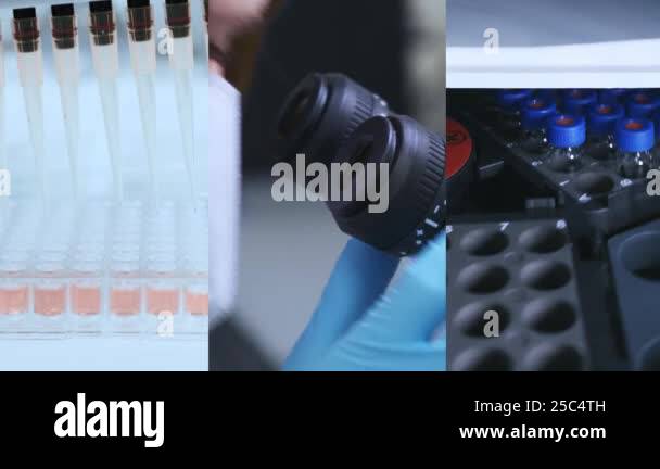 Video collage from biochemical analysis laboratory, using a microplate ...